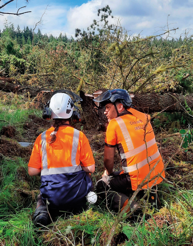 Arboricultural Association - Nurturing growth: Arboriculture education and training in Ireland